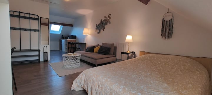 Grand Studio Cœur De Ville - Fougères