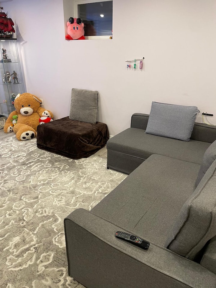 Luxury Basement Home With Gym - 布蘭普頓