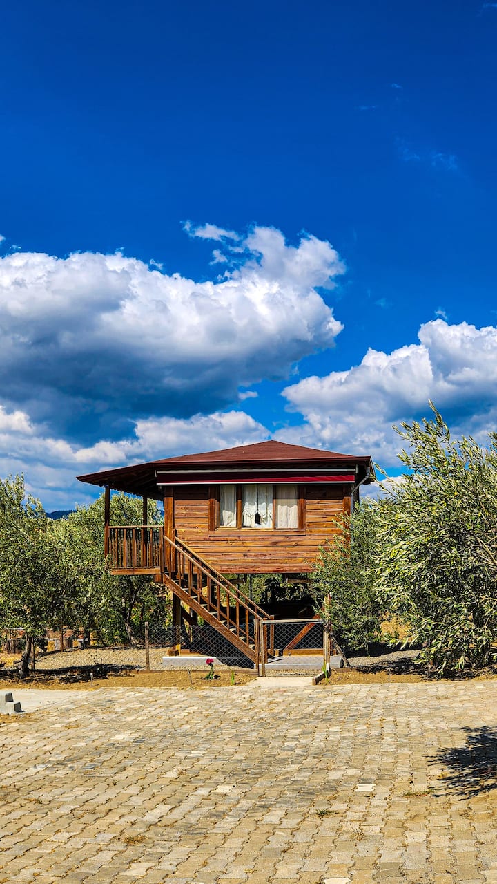 Kazdağlarında Zeytinlik İçInde Manzaralı Bungalov - Edremit