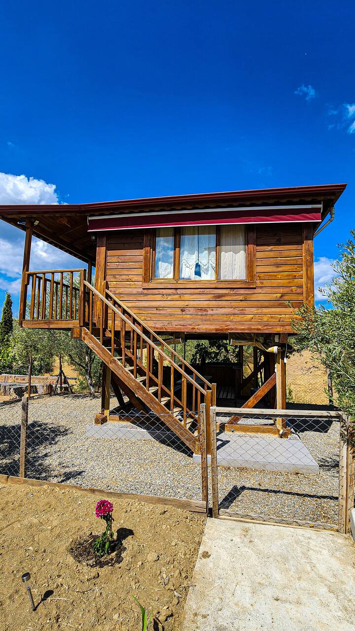 Kazdağlarında Zeytinlik İçInde Manzaralı Bungalov - Edremit