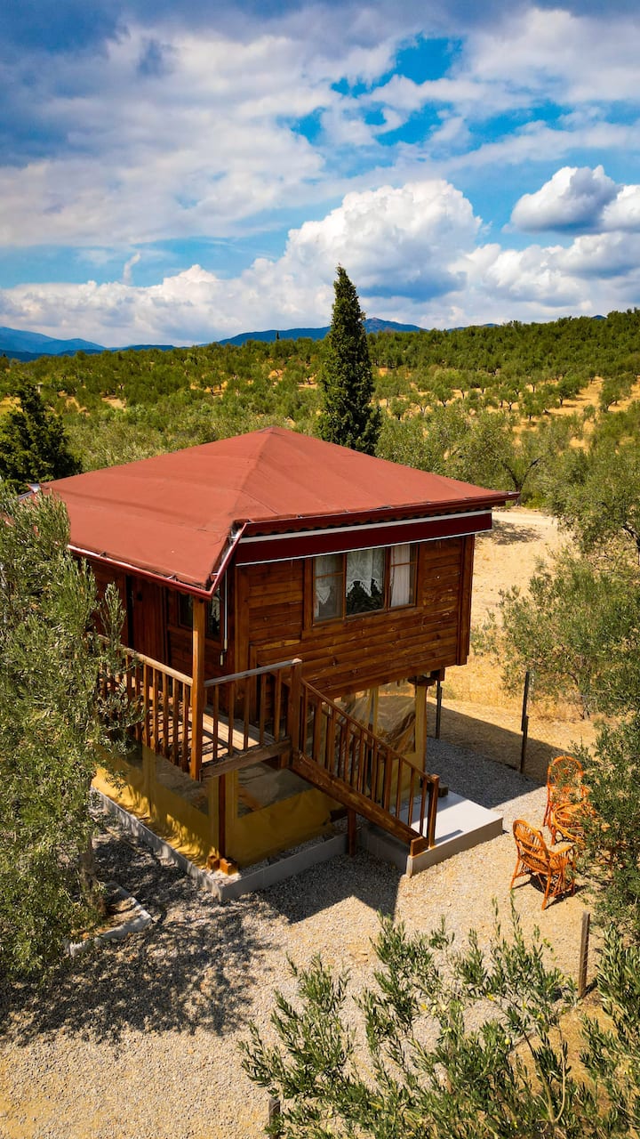 Kazdağlarında Zeytinlik İçInde Manzaralı Bungalov - Edremit
