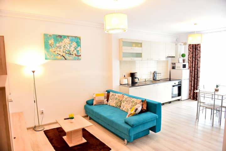 Flh - Apartament Central Silva - Sybin