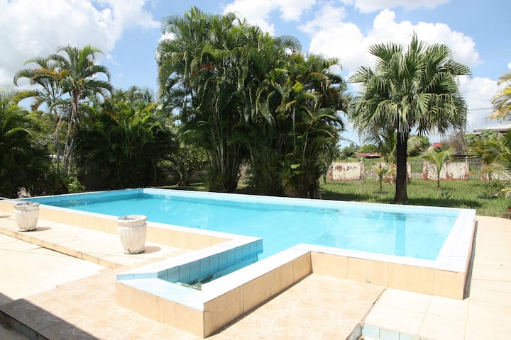 Koningspalm Huis - Surinam