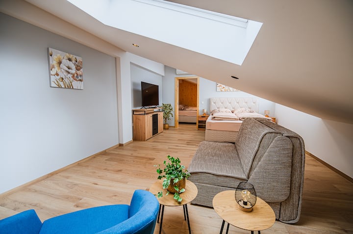 B&b Bizeljčan Mansard Suite Mary 6 - Kranj