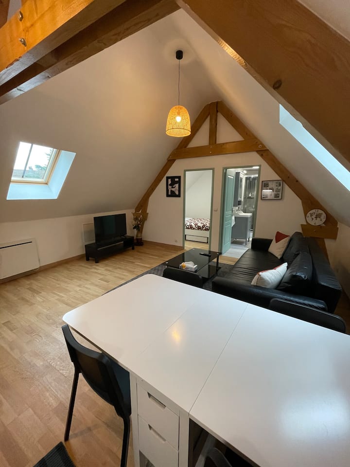 Logement à 5 Min Du Parc Astérix - Plailly