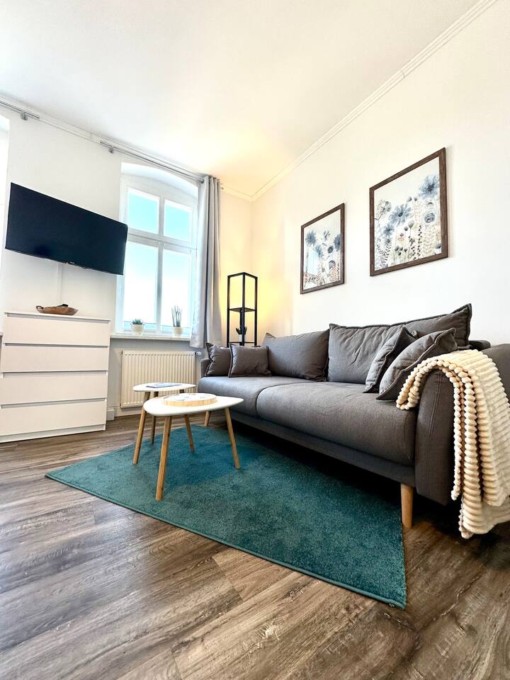 Apartment Frieda |Parkplatz M. Wallbox|balkon|wm - Ballenstedt