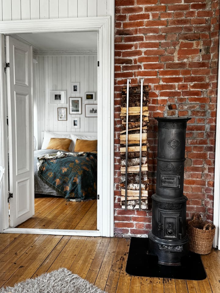 Traditional Oslo Apartment - Oslo
