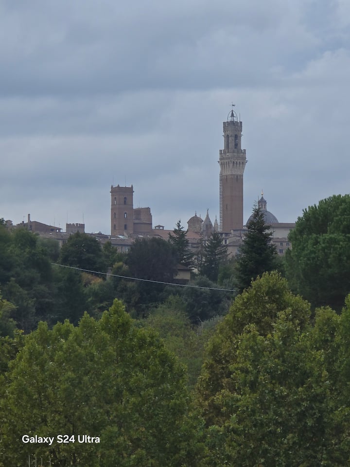 Podere Ponticini - Siena