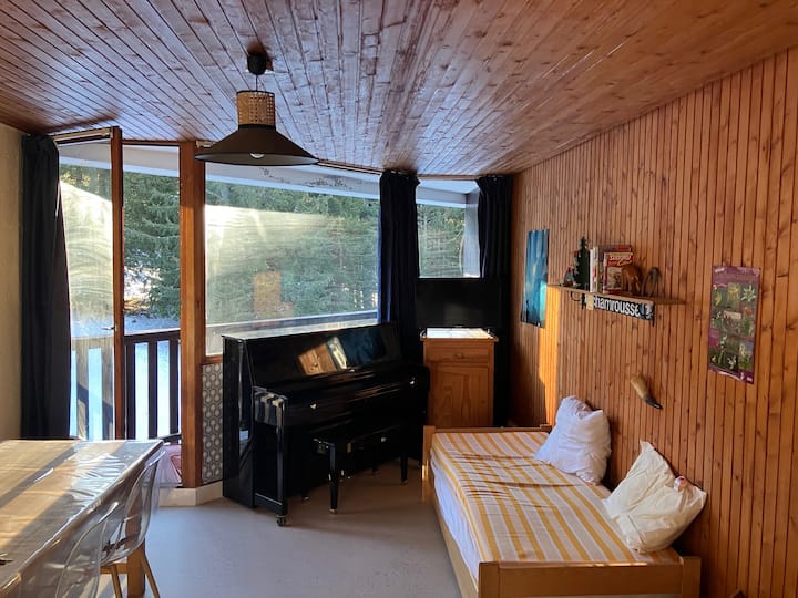 Appartement Au Pied Des Pistes - Station de l'Alpe du Grand Serre