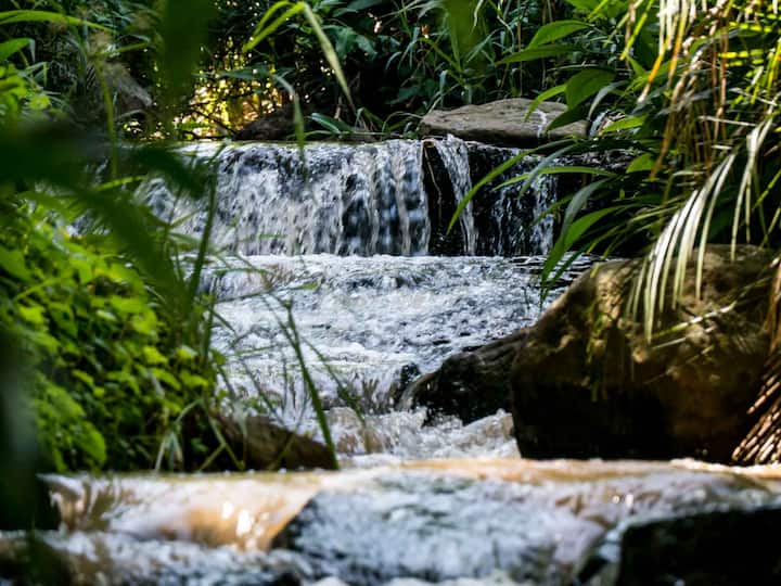 Africa's Eden - Pietermaritzburg