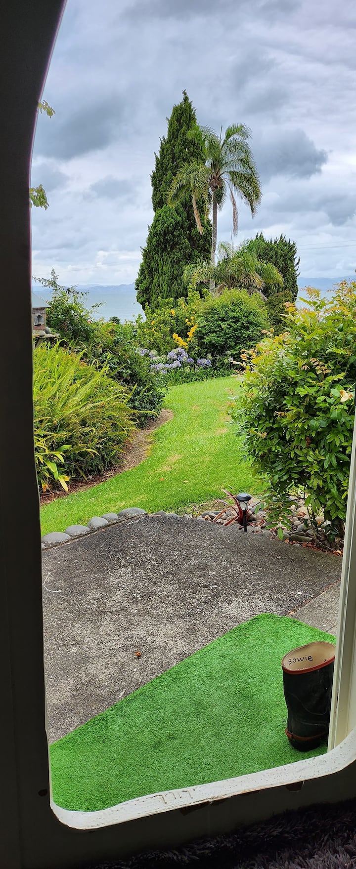 Rainbow Rose Pods - Kaiaua