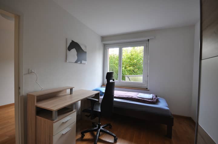 Trottenstrasse Room 3 Interimhomes Zurich - Zürich