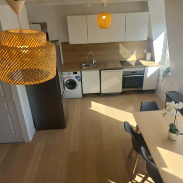 Jolie T2 Avec Grenier Aménagé - Lille