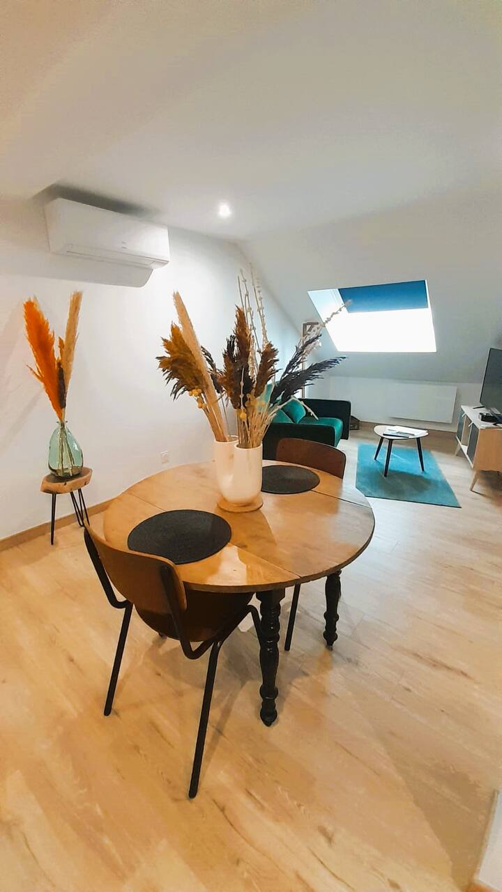 Bryas 3 - Wifi-cour-1chb-clim - Châteauroux