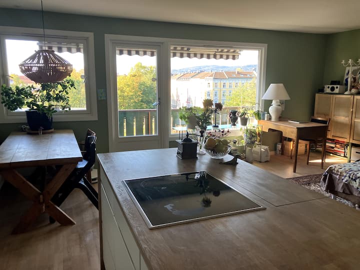 Familieleilighet På Torshov - Oslo