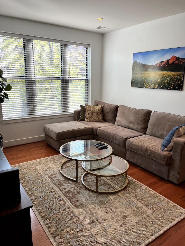 Cozy 1br, Prime Rosslyn Spot - Arlington, VA