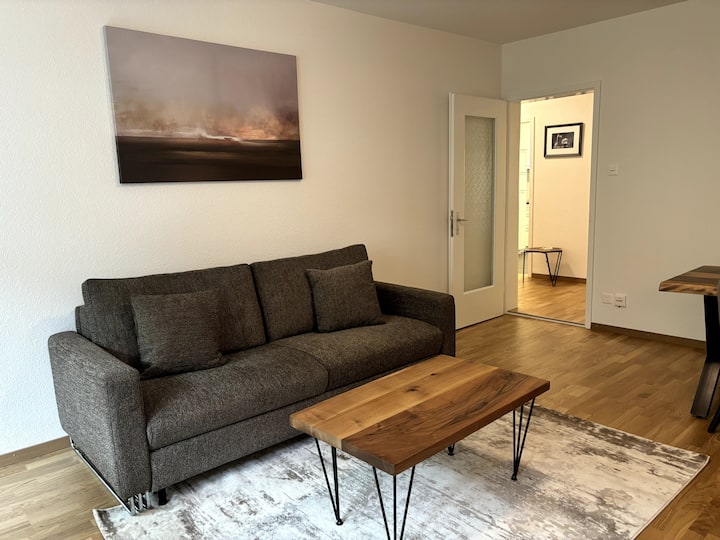 Cozy 2br Near Lake And Train Station (Wille 8) - Zurich