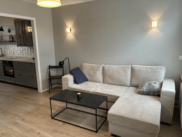 Downtown Apartment - Rejkiawik