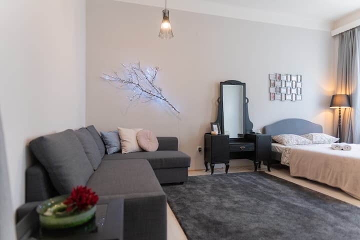 Marvelous 2 Bedrooms Flat - Viena