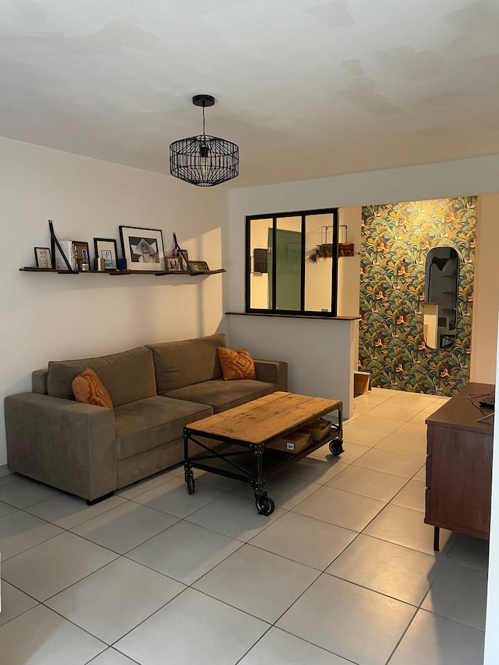 Appartement Avec Jardin - Montpellier