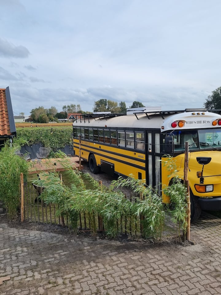 Unieke Amerikaanse Schoolbus! - Olanda Settentrionale