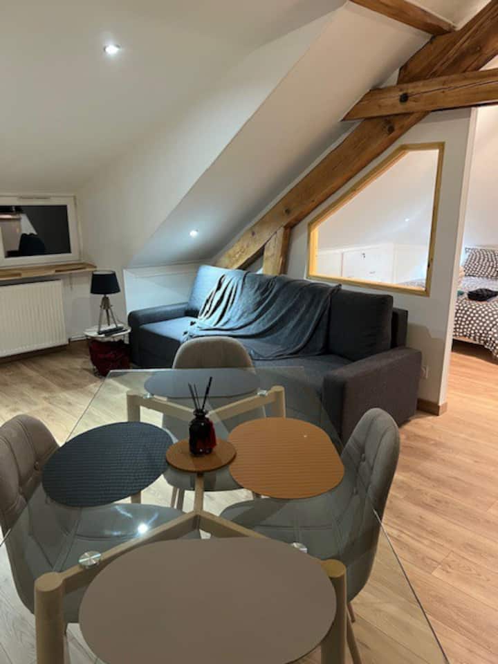 Très Bel Appartement Cosy - Woippy
