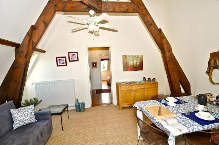 Suite Dans Le Château Bellevue - Aubeterre-sur-Dronne