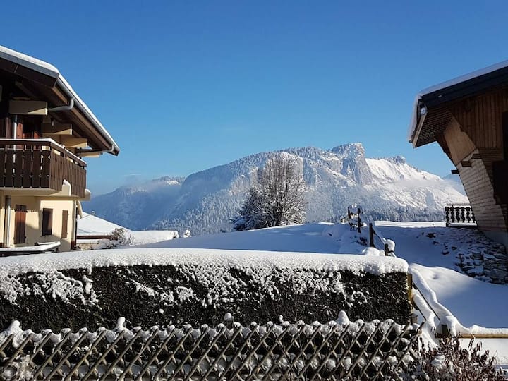 Au Pied Des Pistes De Ski - Bellevaux