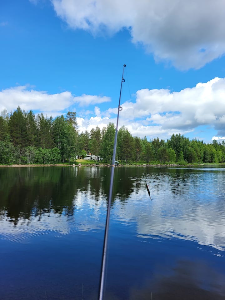 Baströnningen - Sverige
