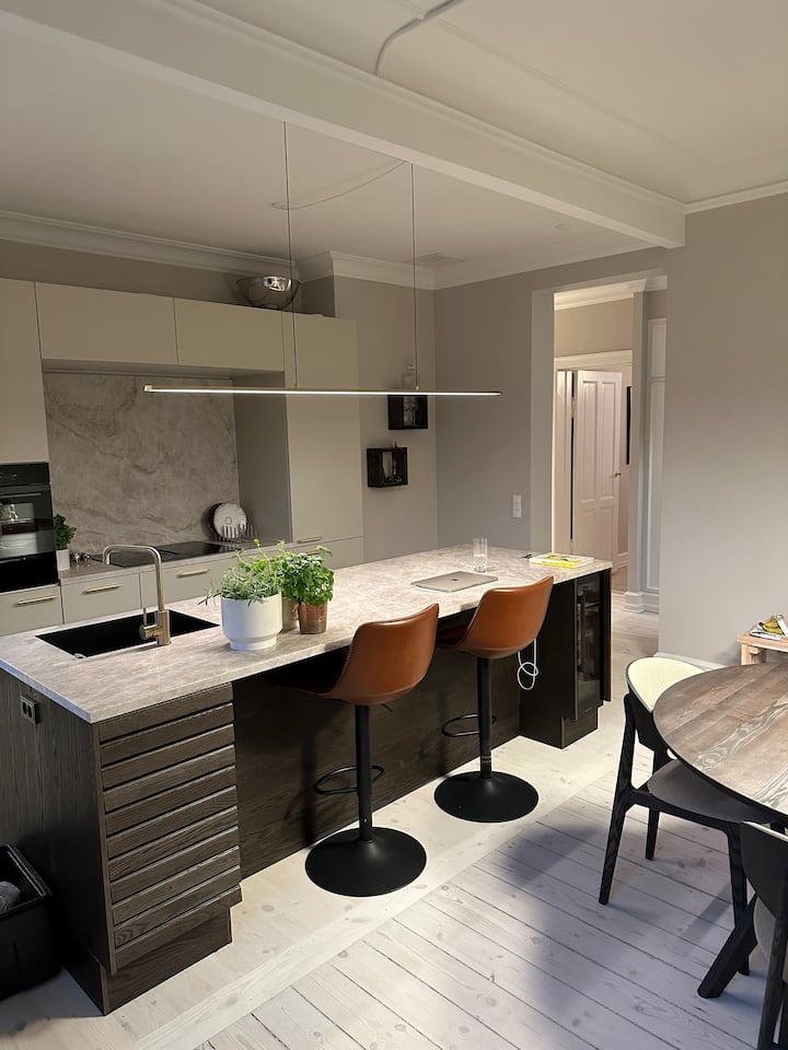 Charming Luxury Apartment, 141 Sqm, Heart Of City - Copenhague