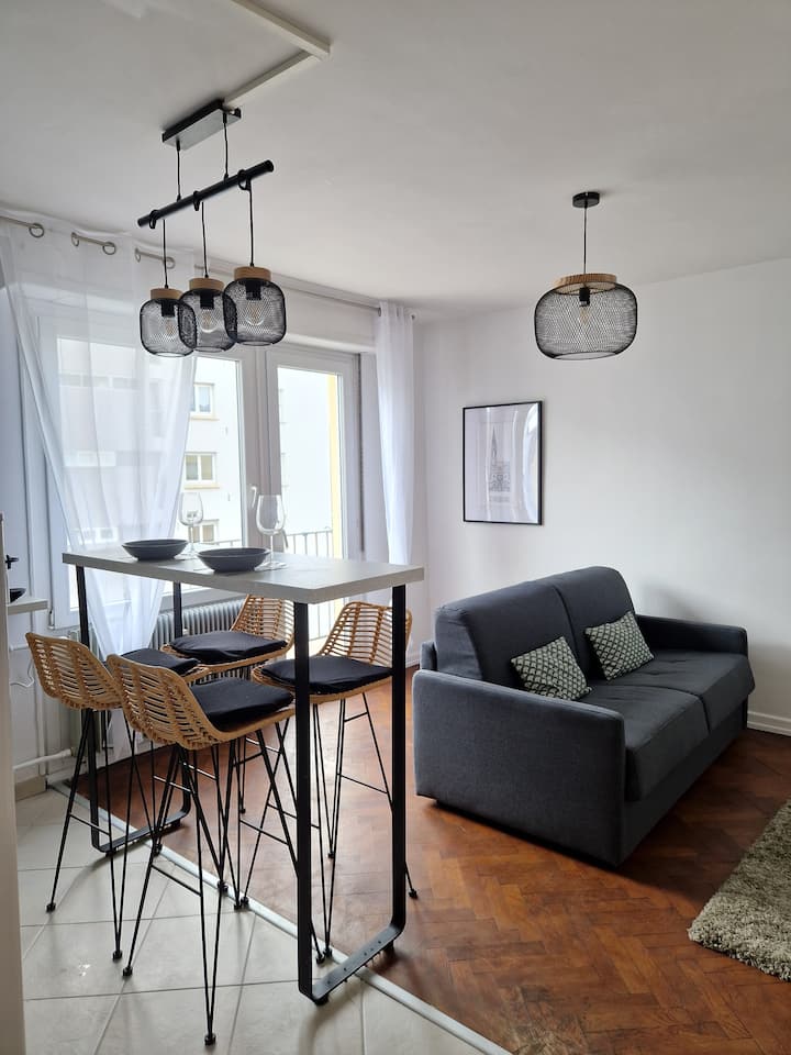 Joli F2, Lumineux Et Moderne - Hôpital de Hautepierre