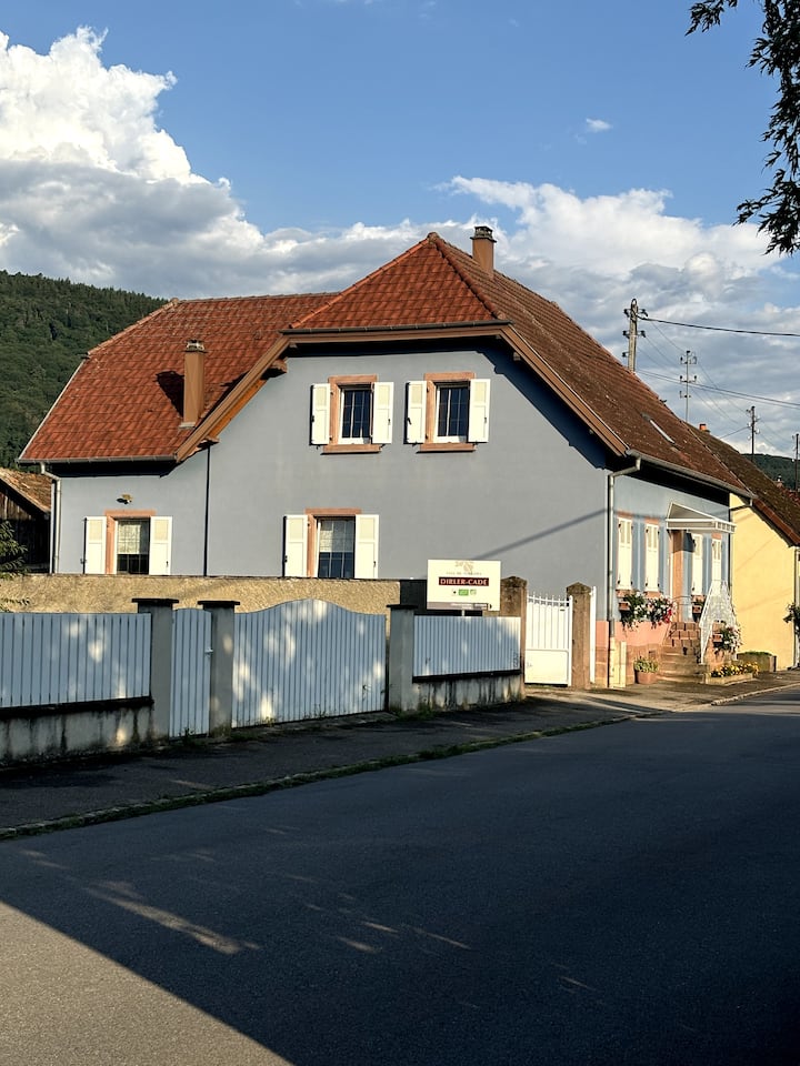 Gite Au Secret Des Vignes - Guebwiller
