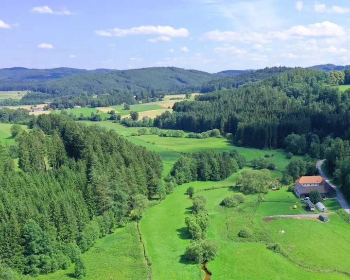 Gäste-minibungalow Grüne Wiese - Weitra