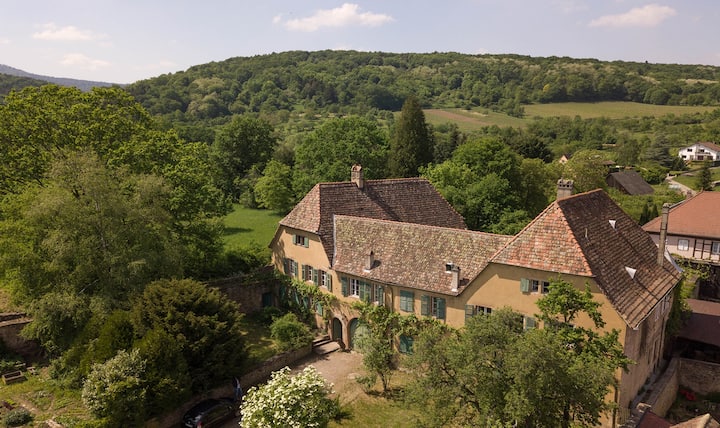 Appartement Chaleureux En Alsace – Calme & Confort - Obernai