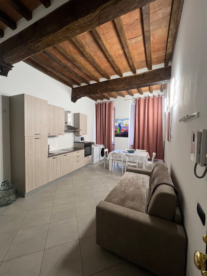 Bilocale Moderno Con Cucina - Piacenza