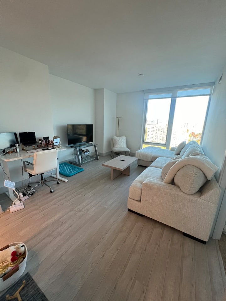 Modern 1 Bed/1 Bath In Reston Va - Reston, VA
