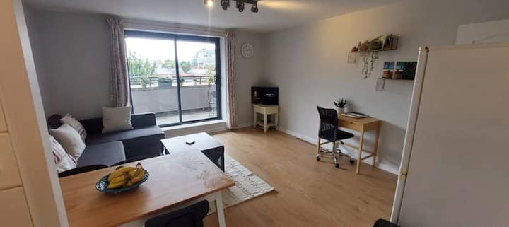 Lovely 1 Bd Flat In Citycenter - ダブリン