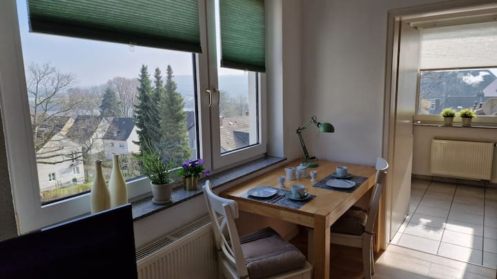 1-zimmer-apartment Mit Balkon - Wetter
