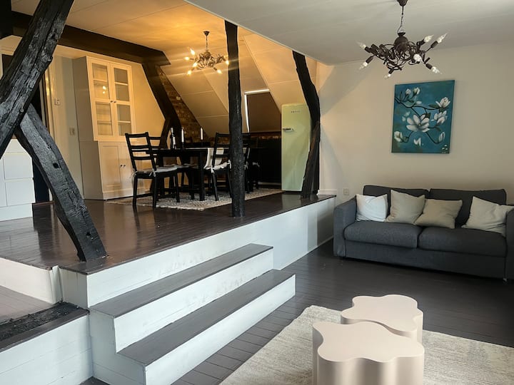 Luxurious Hotel-apartment: De Bergse Suite - Maastricht