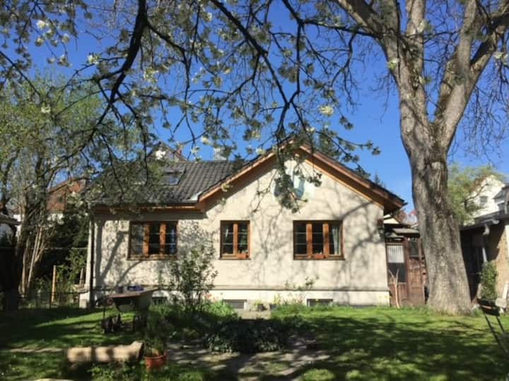 Haus Mit Garten Und Innenhof - Regensburg