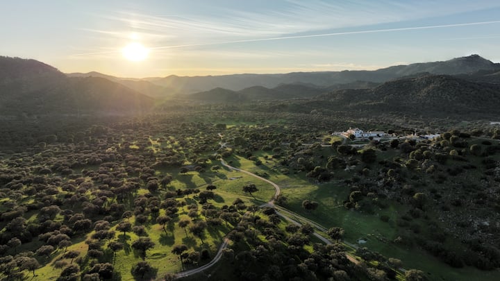 Finca El Encinarejo - Full Lodge - Andújar