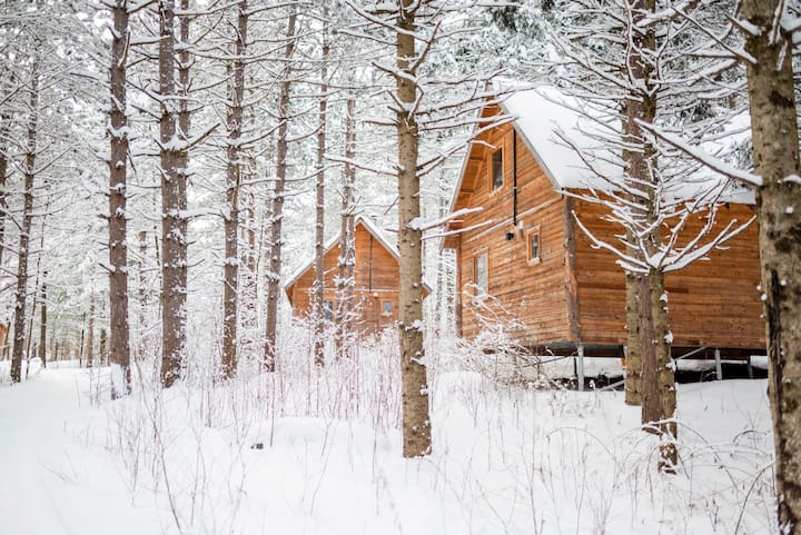 Chalet - Hotel Horizon - Sutton