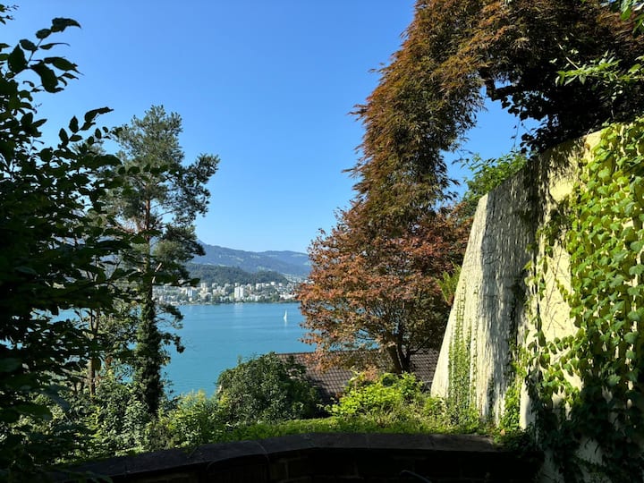 2bdr Apt With See View - Free P - Lucerna