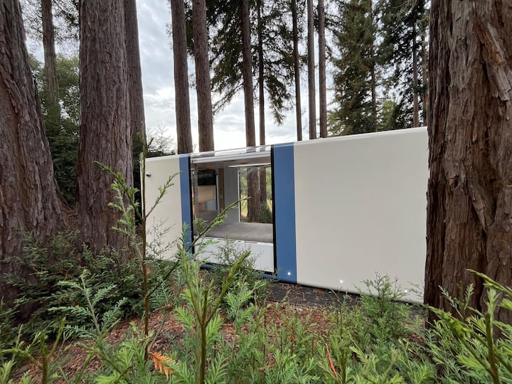 Silicon Valley Microhaus: Redwoods & Hi-tech - San José