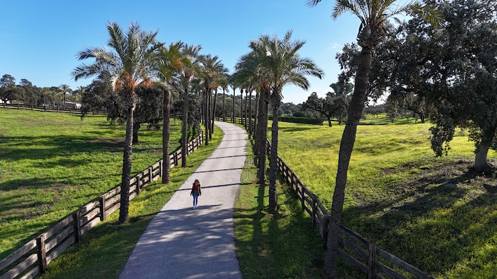 Alojamiento Rural Finca Barral - Guillena