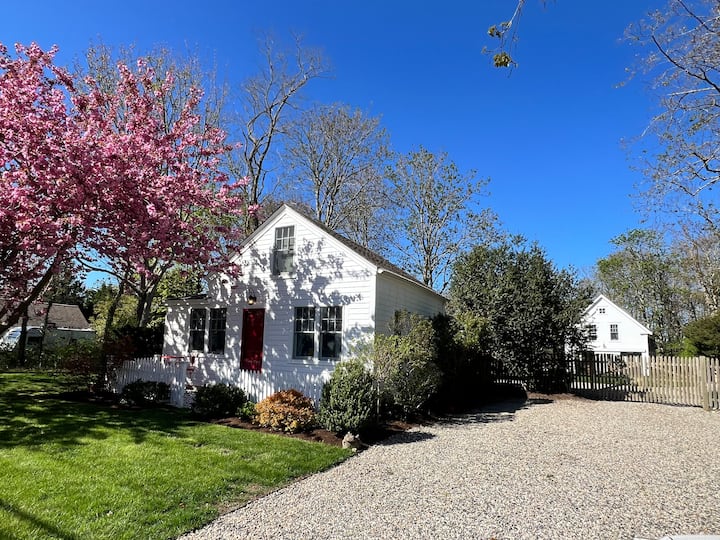 Petite Antique, Pets Considered! - Orleans, MA