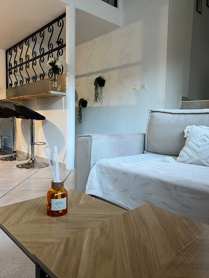 Beau Duplex T3 Bis Bien Situé - Sens