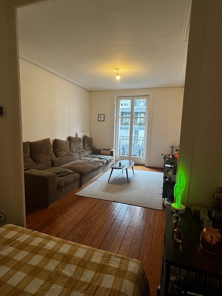 Appartement Cosy Et Central - Genebra