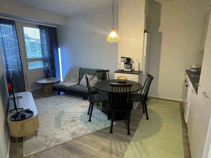 Polar Aspen Apartment/rvn Center - Rovaniemi