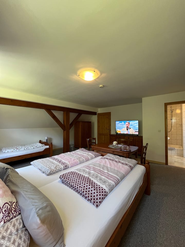 Hotel Waldhaus - Zimmer 4 - Vierbettzimmer - Koblenz